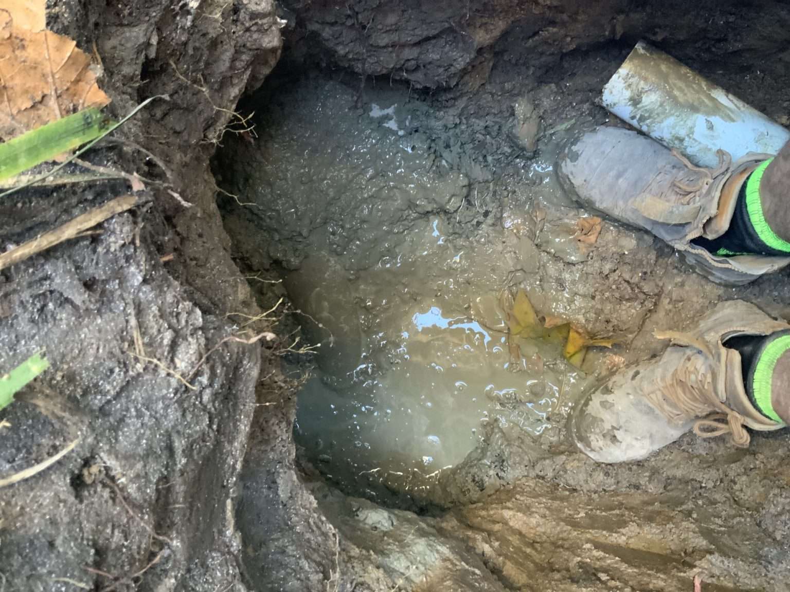 Is Your Drain Blocked? 10 Warning Signs and When to Call a Blocked ...